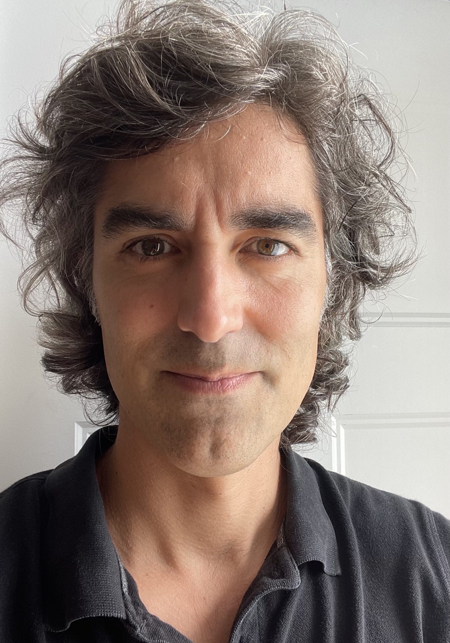 Nicolas Levesque - Association nationale des éditeurs de livres/Québec ...